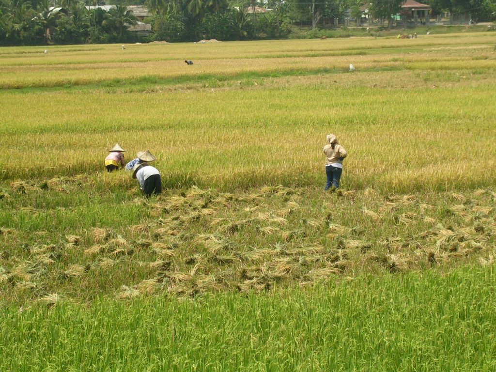 Kisah PHK di Meta: Proyek Metaverse dan Nasib Karyawan Reality Labs ...