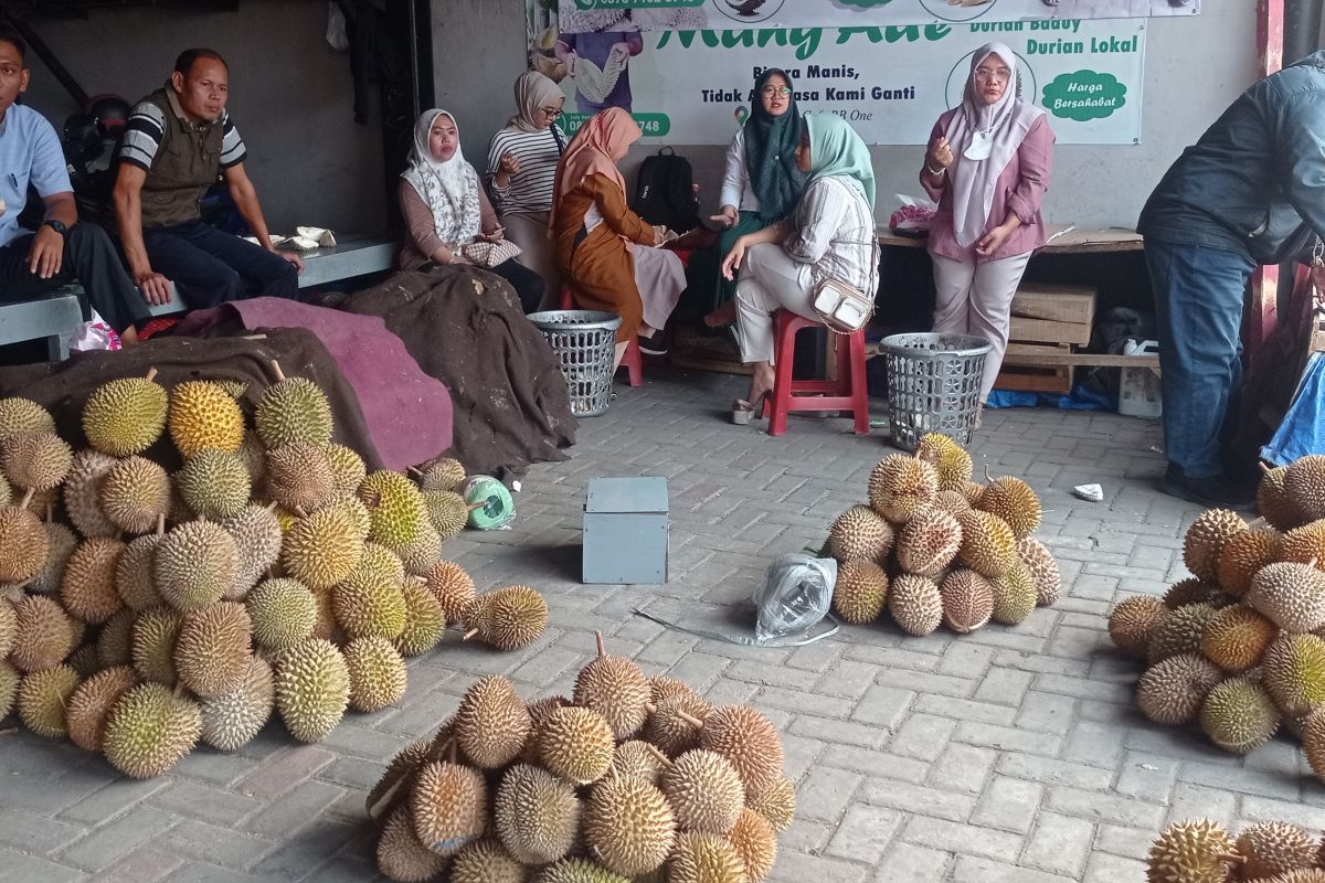 Panen Durian Khas Badui: Pendorong Ekonomi Lokal Kabupaten Lebak Banten : Philippinestuffs